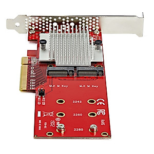 StarTech.com Dual M.2 PCIe SSD Adapter Card - x8 / x16 Dual NVMe or AHCI M.2 SSD to PCI Express 3.0 - M.2 NGFF PCIe (M-Key) Compatible - Supports 2242, 2260, 2280 - JBOD - Mac & PC , TAA (PEX8M2E2)
