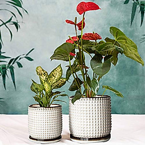 Set of 2, 6 Inch & 4 Inch Ceramic Indoor Planter Pots with Drainage Hole and Saucer, Beaded Design Flower Pots, Smoked White, 27-H-B-SW-ZS