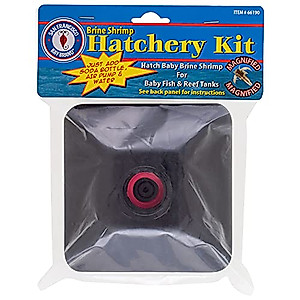San Francisco Bay Brand Brine Shrimp Hatchery Kit, Includes 3-Packets of Brine Shrimp Hatch Mix