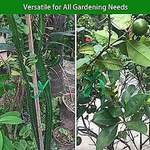 Garden Tree Tie, 164 Feet 8mm Soft Durable Green Plant Twine Stretchy Tree Supports Biodegradable for Tomato Plants, Climbing Roses and Vines Organizing