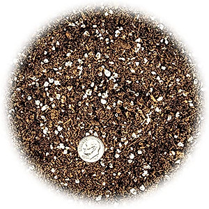 GARDENERA Premium Jade Plant Potting Soil Mix - (1 Quart Bag)