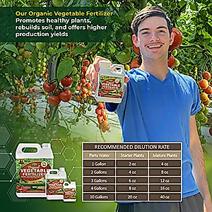 PetraTools Organic Liquid Vegetable Fertilizer, Organic Liquid Fertilizer for Vegetables, Liquid Seaweed Plant Food for Vegetables, 3-3-2 NPK All Purpose Organic Fertilizer Made in The USA (8 oz)