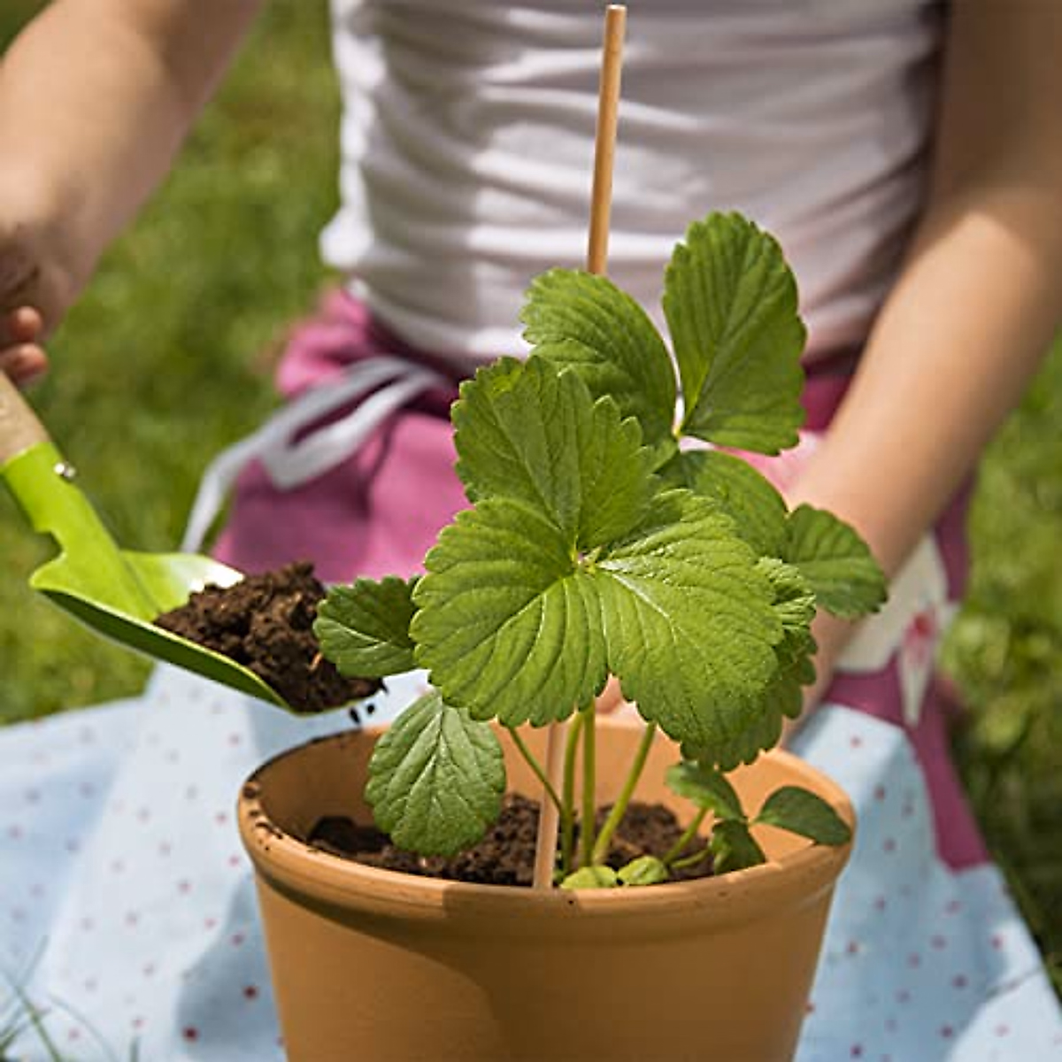 Frcctre 60 Pack 16 Inch Bamboo Plant Stakes, Natural Garden Sticks for Plant Indoor and Outdoor Gardening Plant Support Climbing Stakes for Tomatoes, Beans, Potted Plants