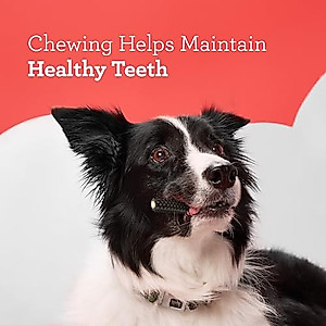 Dreambone Triple Action Dental Sticks Charcoal, 6 Count, Rawhide-Free Chews for Large and XL Sized Dogs Freshens Breath