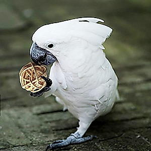 Bird Parrot Toys Swing Hanging,18 Pieces Bird Cage Accessories Toy Perch Ladder Chewing Toys Hammock for Parakeets,Cockatiels,Lovebirds,Conures,Budgie,Macaws,Lovebirds,Finches and Other Small Pets