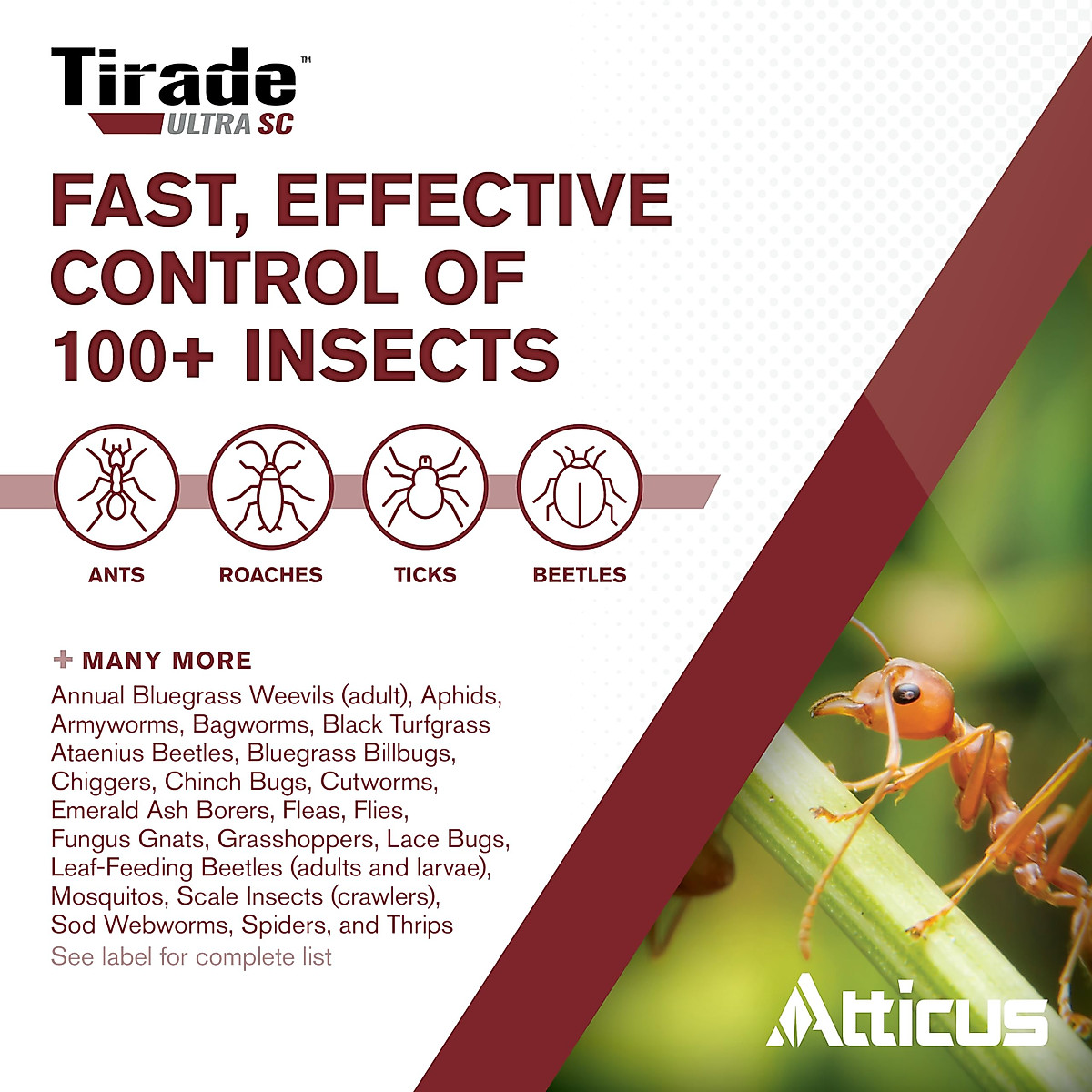 Tirade Ultra SC Insecticide by Atticus - Compare to The Leading Brand - Beta-Cyfluthrin Pest Control for Indoor and Outdoor Use (240 ML)