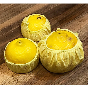 Fox Run Lemon Bags, 2 x 2 x 0 inches