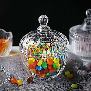 INFTYLE Glass Candy Dish with Lid Set of 4 Crystal Glass Candy Jar Jewelry Box Dappen Dish Cookie Jar for decorative storage gift idea (4pcs Clear)…