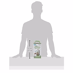 Back to the Roots Organic Oyster Mushroom Grow Kit, Harvest Gourmet Mushrooms In 10 Days