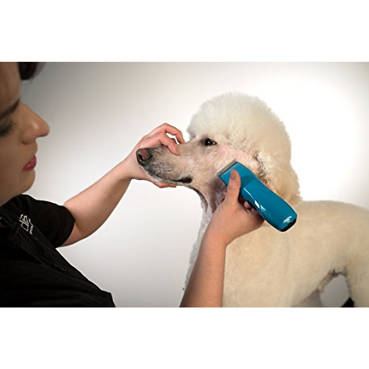 Andis 73515 Pulse Li 5 Cord/Cordless Grooming Clipper for Dogs, Cats and Equine, Teal