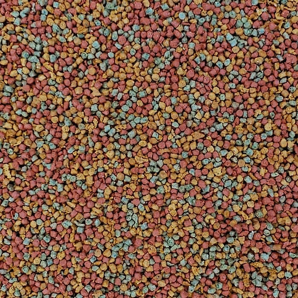 Higgins Intune Canary/Finch Food 2Lb