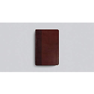 ESV Large Print Thinline Bible (TruTone, Burgundy/Red, Timeless Design)