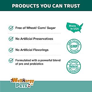 Wellnergy Daily Probiotic & Prebiotics Soft Chew for Dogs & Cats - Digestive Support for Diarrhea, Constipation, Upset Stomach, Indigestion & Gas - Helps Digestion, Allergy Skin & Immune Health 160ct