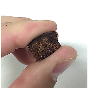 ReptiChip Compressed Coconut Chip Substrate for Reptiles 72 Quart Coco Husk Bedding Brick for Ball Pythons, Snakes, Tortoises, Geckos, Frogs, or Lizard Terrarium Tanks