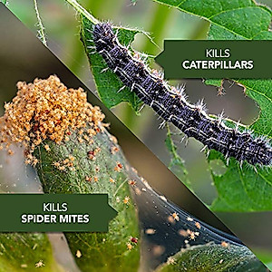 Natria 706230A Insecticidal Soap Organic Miticide, 24 oz, Ready-to-Use