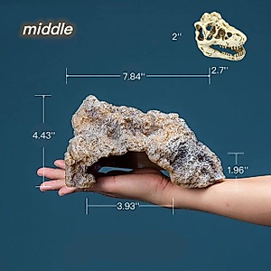 AWXZOM Reptile hideouts Come with Dinosaur Skull Hideout, Reptile Rock Reptile Cave Hideout Habitat Decor Ornament Shelter for Snake Geckos Lizards Bearded Dragon Turtle Snake Amphibians (Middle)