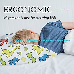 Toddler Pillow with Pillowcase 13x18 - Kids Pillow for Sleeping - Toddler Pillow - Better Neck Support Ergonomic Pillow and Toddler Pillowcase - Best Pillows for Kids (Dinosaurs White)