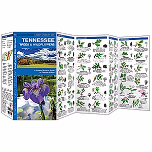 Tennessee Trees & Wildflowers: A Folding Pocket Guide to Familiar Plants (Nature Observation North America)