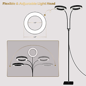 GLOWRIUM Grow Light with Stand,2-Head LED Plant Light for Indoor Plants, Full Spectrum Grow Lamp, 3/9/12H Timer, 6 Dimmable Levels, 3 Lighting Mode, Adjustable Height