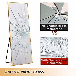 NeuType Full Length Mirror Wall Mirror 59" x 20" Gold Aluminum Alloy Frame Full Body Mirror Standing Mirror Floor Mirror for Living Room Bedroom Hallway Dressing