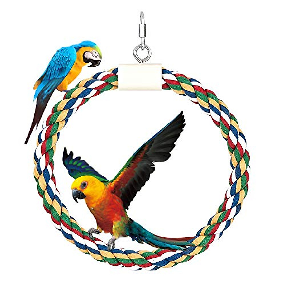 SONGBIRDTH Parrot Chew Toys - Pet Bird Parrot Cotton Rope Circle Ring Stand Hanging Swing Cage Chew Play Toy for Medium and Small Parrot 15cm