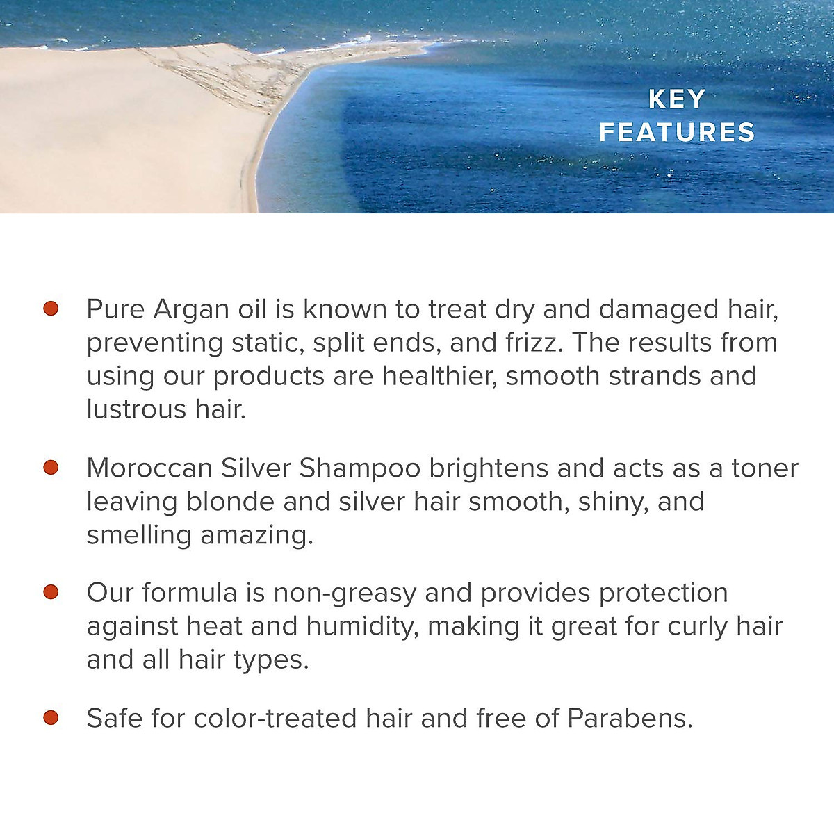 Royal Moroccan BEST SILVER SHAMPOO 300 ml /10.05 fl.oz | Purple Shampoo for Blond Hair & Grey Hair|Lights Shampoo for Blond & Silver Hair |Anti-Yellow Shampoo | Paraben-Free Argan Oil Hair Products