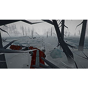 The Long Dark - PlayStation 4