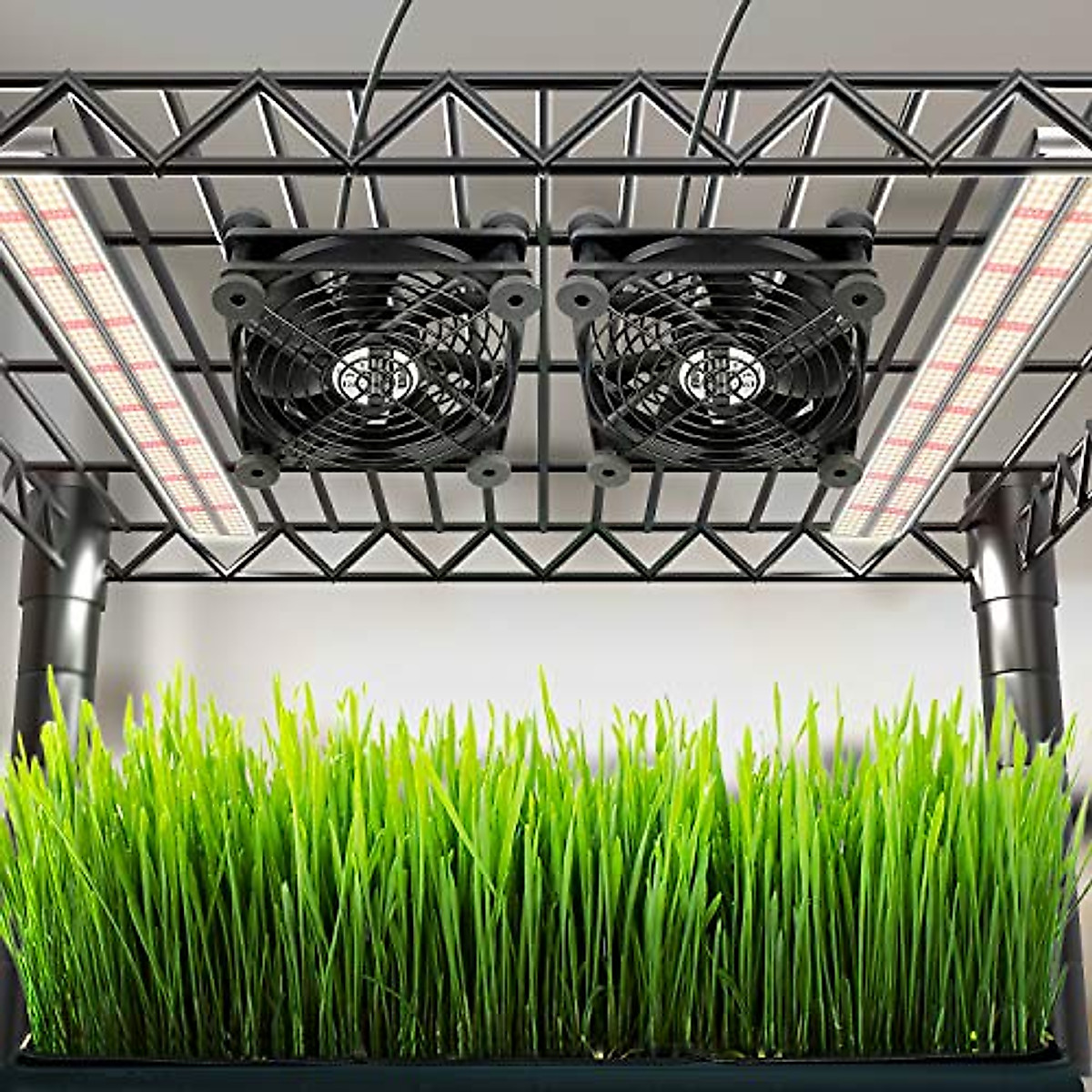 iPower Silent Dual 120mm USB Fan with Speed Controller for Indoor Plant Stand Shelf Ventilation Circulate Air