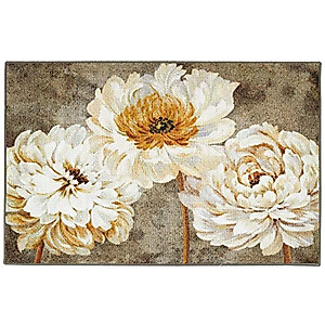 Brumlow Mills Pearl Grey Floral Study by Pamela Gladding Decorative Rug for Kitchen, Entryway Rug, Living Room or Bedroom Carpet, 2'6" x 3'10"