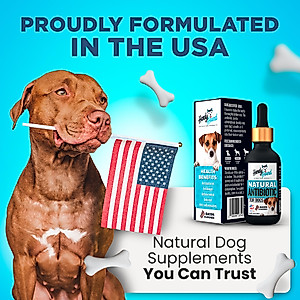 Natural Antibiotics for Dogs – Gentle, Effective Dog Antibiotic - Provides Dog Allergy Relief and Dog Itching Skin Relief - Premium Antibiotics for Dogs with Bacon Flavor