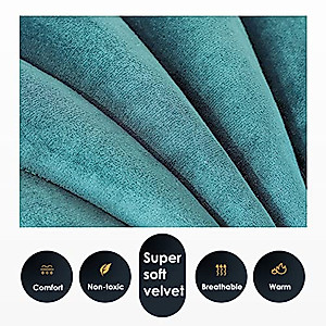 Patty Both Seashell Decorative Pillow Velvet Seashell Throw Pillow, Sea Shell Shaped Throw Pillow Decorative Pillows for Bed Couch Home Office Decor (Pink, Small(12.8*10in 0.3kg))