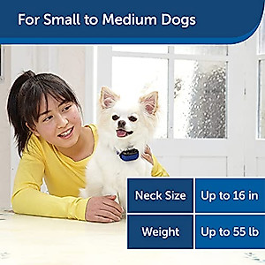 PetSafe Elite Little Dog Spray Bark Collar for Small Dogs from 8 lbs to 55 lbs - Smallest Collar Option - Citronella Spray - No Barking Control Device - PBC00-11283