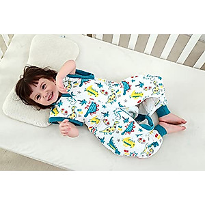 G' abigale Fairy 100% Cotton Cute Dinosaur Baby Sleeping Sack Bag Pajama Set (L, Blue)