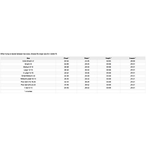 Spirit Halloween Adult A Nightmare on Elm Street Freddy Krueger Sweater Dress Costume - 1X