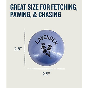Planet Dog Orbee-Tuff Essentials Lavender Scented Interactive Dog Ball Treat Dispenser Toy, Purple
