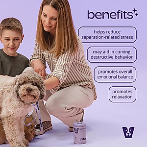 Vitail Calming Dog Chews for Anxiety & Stress Relief - Natural Ingredients with Magnesium - Helps Emotional Balance & Reduces Destructive Behavior - 90 Soft Chews