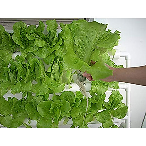 HYDDNice Hydroponic Grow Kit 4 Layers 36 Plant Sites Garden Planting System Hydroponic Growing System Water Culture Garden Plant System Garden Vegetable Planting Tool