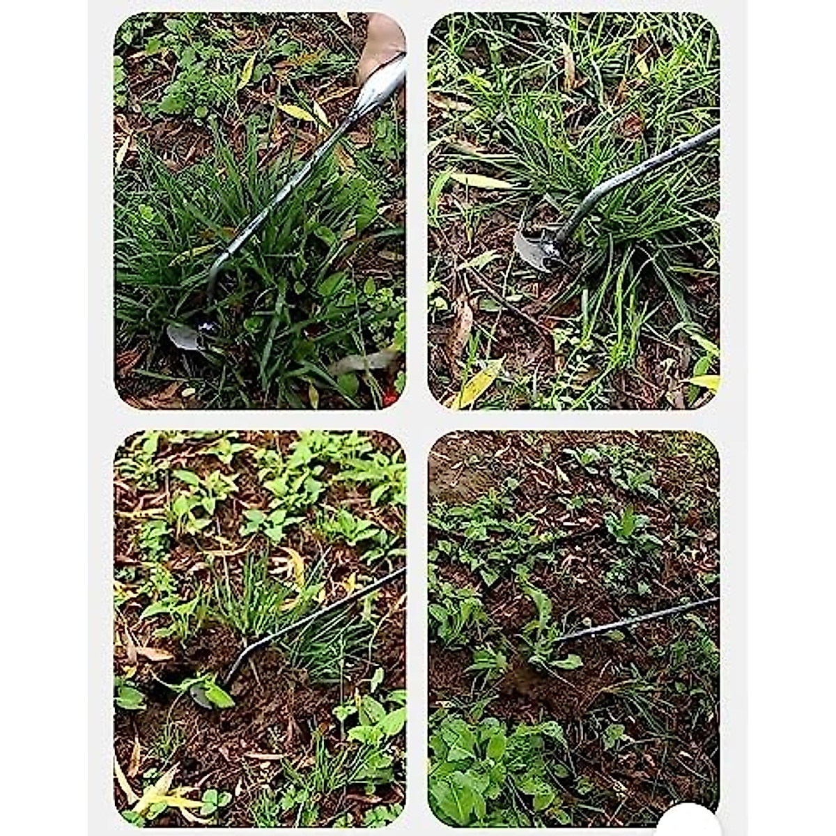 olybell Stainless Weeding Artifact Uprooting Weeding Tool, Stainless Steel Forged Weed Puller 4 Teeth Dual Purpose Weeder, Hand Weeder Tool for Gardening with Long Handle (Black)