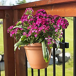 Deck Railing Plant Container Holder/Bracket Kit for Round Pot Planters (10") Connects Harmlessly to Vertical Spindled Railings - Adjustable Height - Heavy Duty Plant Hanger