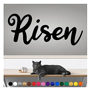 Transform Your Walls with Professional Grade, Outdoor Weatherproof Vinyl Stickers - Happy Sunday - UV Resistant, Made in The USA! Inspirational Words: Risen: 14 Inch, Satin Silver