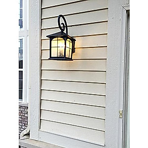 Home Decorators Collection Brimfield 1-Light Aged Iron Outdoor Wall Lantern