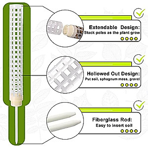 Small Plastic Moss Pole for Monstera and Climbing Plants-Mighty Plant Support (White,4)