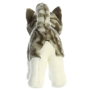 Aurora - Miyoni - 10" Grey Tabby Cat