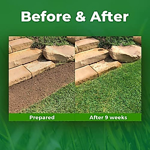 Growtrax Biodegradable Grass Seed Mat, Year Round Green - 50 Sq Ft Quick Fix Roll - Growing Solution for Lawns, Dog Patches and Shade - Just Roll Water & Grow -Not Fake or Artificial Grass