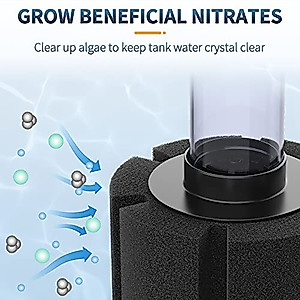 Pawfly 3 Pack Aquarium Nano Bio Sponge Filter Quiet Betta Fry Shrimp and Small Fish Foam Filter for Tiny Fish Tank up to 10 Gallon