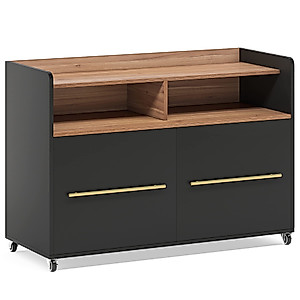 Tribesigns 2 Drawer File Cabinet Rolling Filing Cabinets for Home Office Black lateral File Cabinet Wood File Cabinet for Letter Size, Printer Stand with Rolling Wheel and Open Storage Shelves