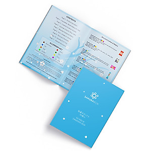 Sakura Box Japanese Candy & Snacks Dagashi Set & Pamphlet 50 Pieces Japanese Food Gift Box