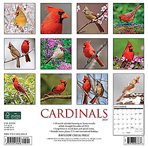 Willow Creek Press Cardinals 2024 12" x 12" Wall Calendar