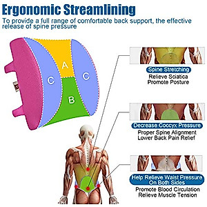 LOVEHOME Lumbar Support Pillow for Chair and Car, Back Support for Office Chair Memory Foam Cushion with Mesh Cover for Back Pain Relief - Pink