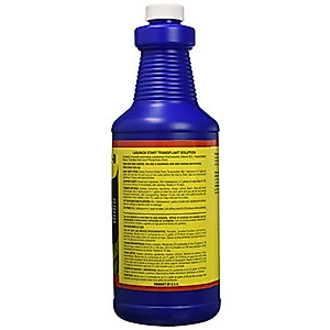 Liquinox 1 0-2-0 Vitamin B1 Start, 1 quart